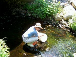 River Quality Monitoring | Town of Nottingham NH